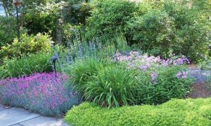 Trees Atlanta holds a native plant sale on two weekends in April ...