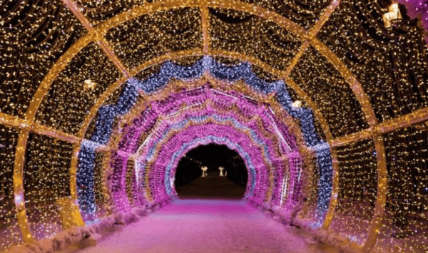 Lanier Islands: Lakeside Lights Spectacular and Snow Island winter fun ...