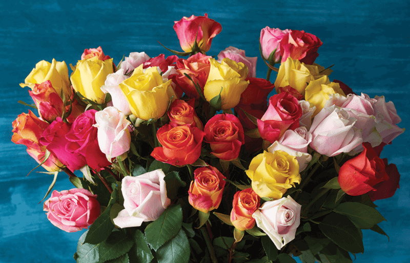 The Fresh Market: 2 dozen roses for $24.99, romantic meals to go, heart ...
