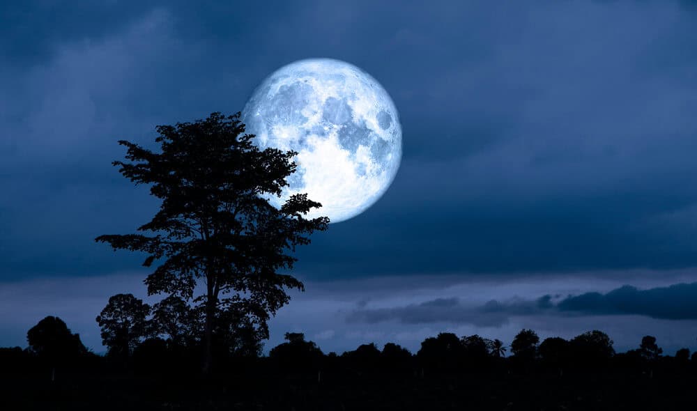 Don't miss the December Super Moon: when and where to view it this week ...