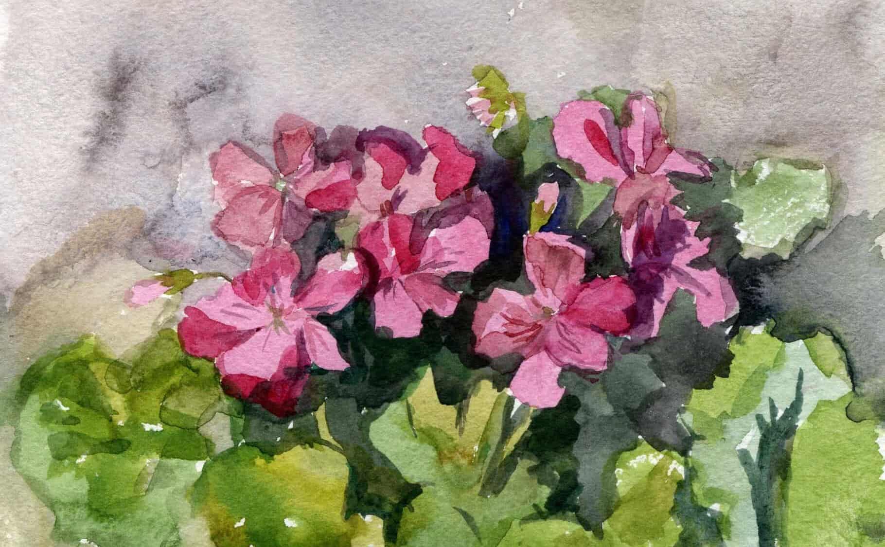 The annual Geranium Festival happens in downtown McDonough on Saturday ...