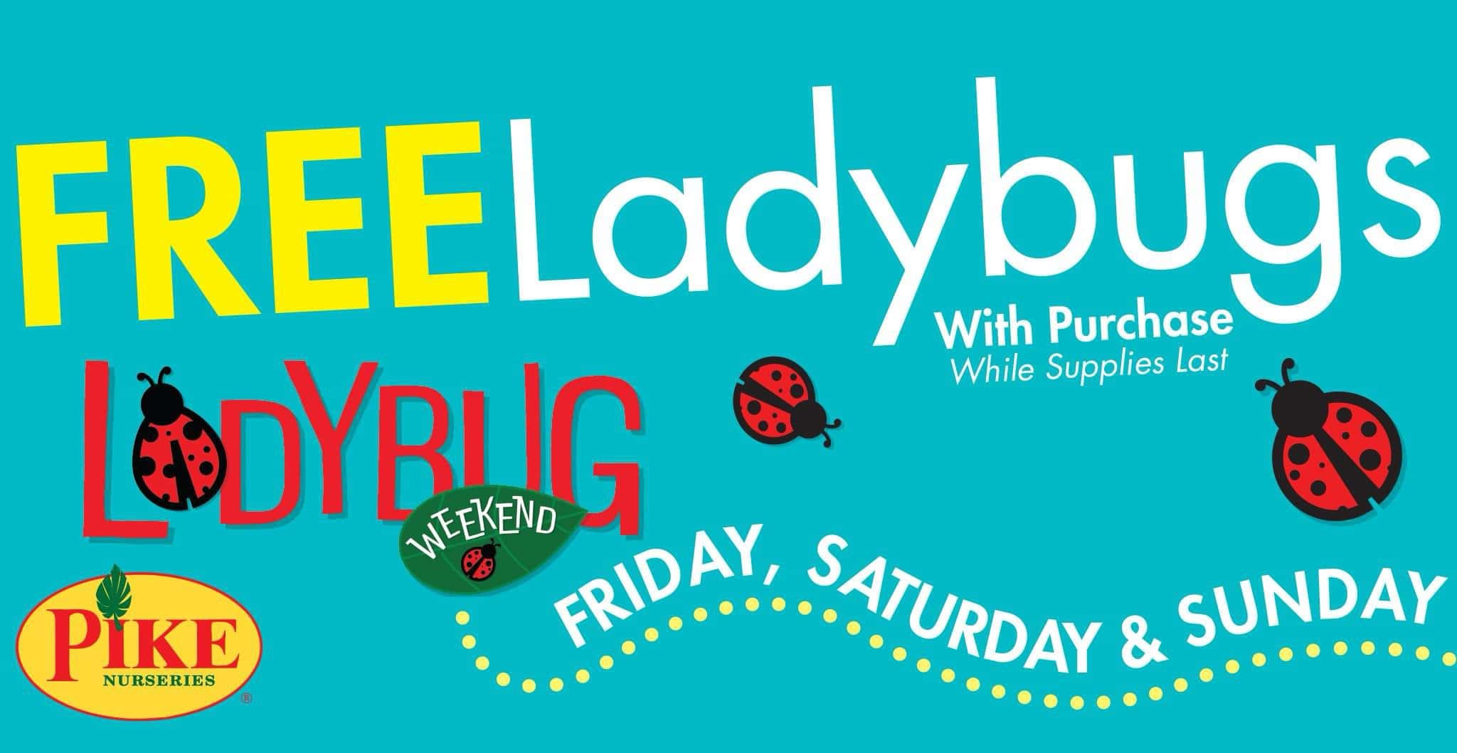 Pike Nurseries: Get FREE ladybugs to release in your garden + a class ...