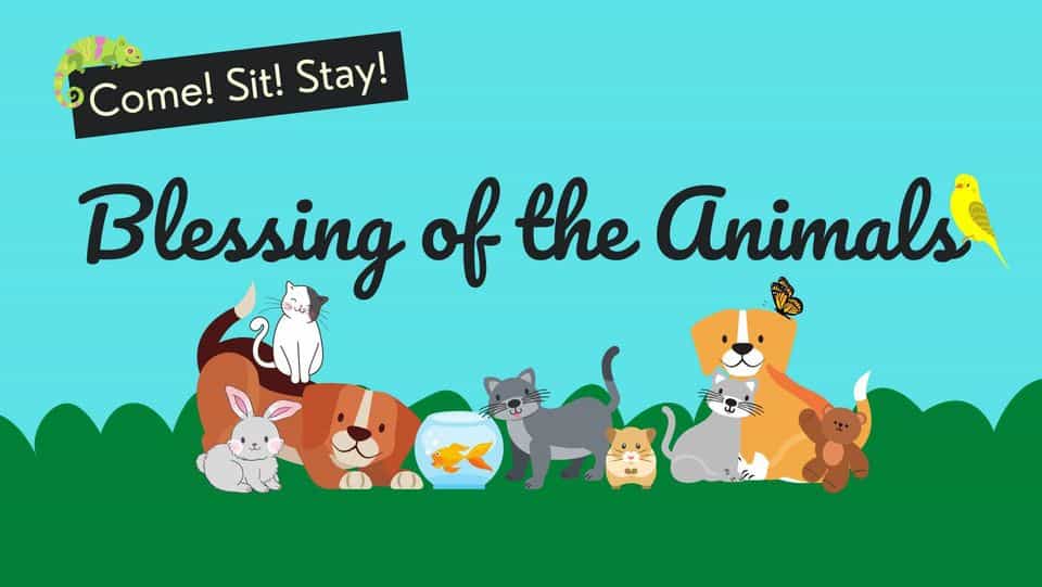 Free! Bring your pets to the Blessing of the Animals at Sandy Springs ...