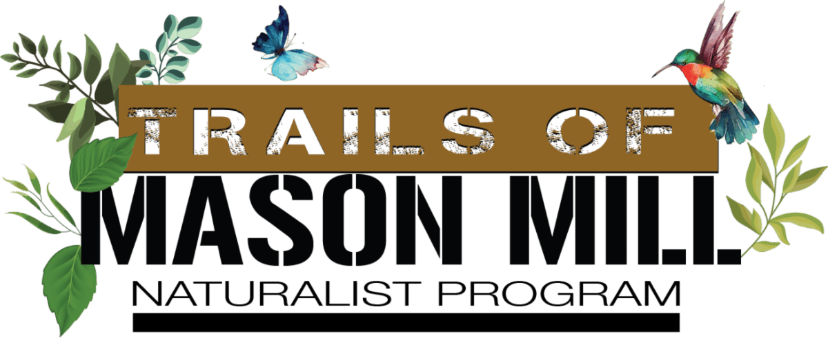 FREE! Try out the "Escape Room Trail" at Mason Mill Park and solve ...