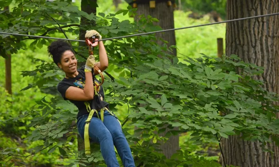 The Treetop Quest zip line adventure at Brook Run Park in Dunwoody has ...