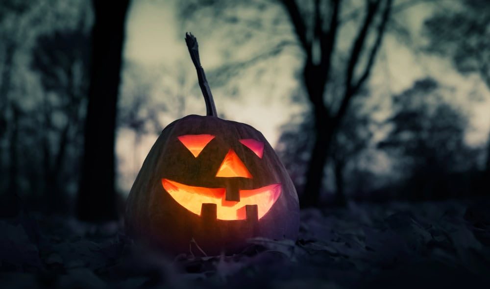 Fall is here! How to make the most of spooky season this month ...