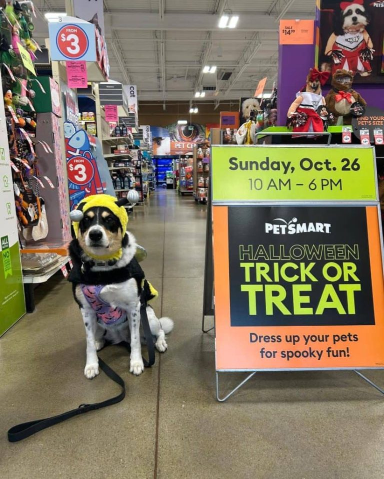Petsmart hosts a trick-or-treat event for pets this Sunday, Oct. 26th ...