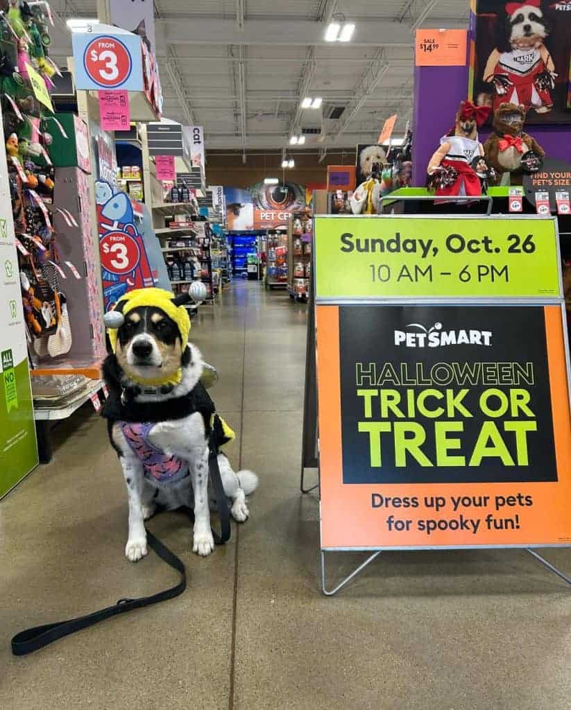 Petsmart hosts a trick-or-treat event for pets this Sunday, Oct. 26th ...